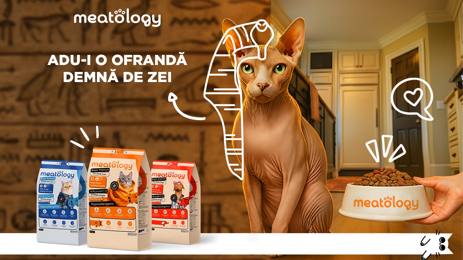 Meatology: brandul românesc super premium cu un model de business bazat ...